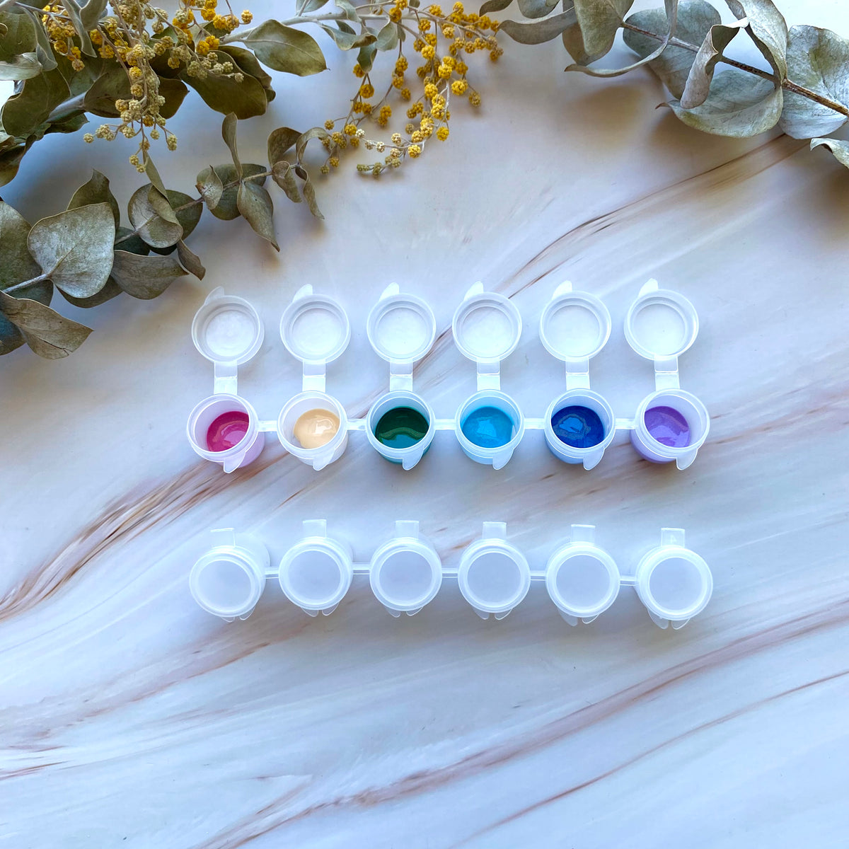 Mini Paint Pot Strips – MyClayCo